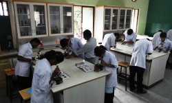 St Joseph's Indian Composite PU College